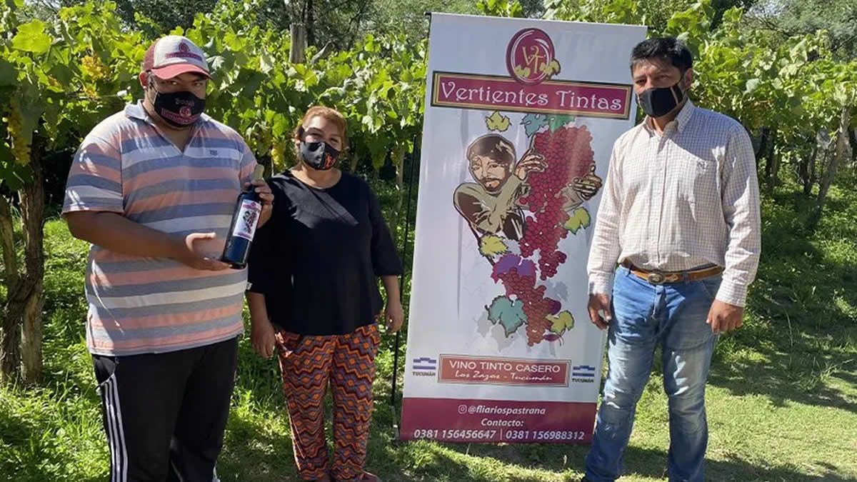 La ruta del vino tucumano, un gran atractivo turístico