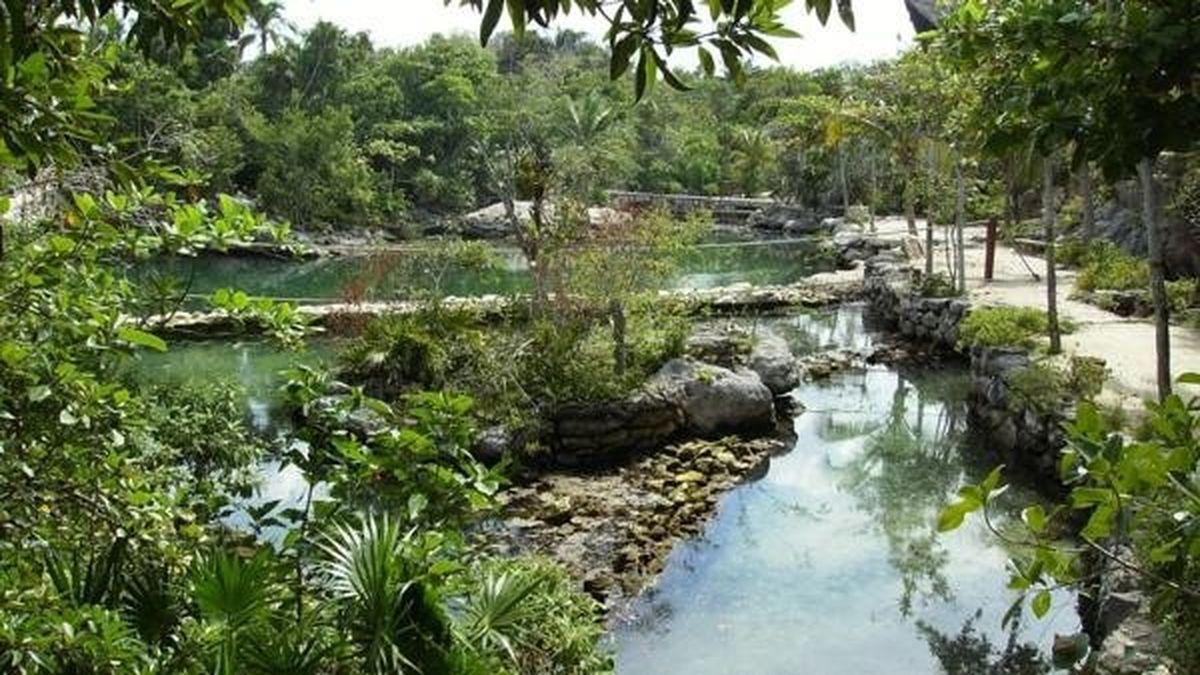 Qué es un ecoparque y cuáles son los mejores del mundo