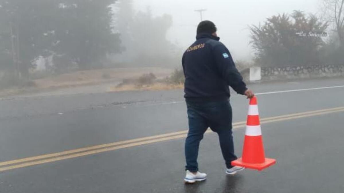 Por caída de garrotillo, Vialidad procedió a cortar la ruta 307