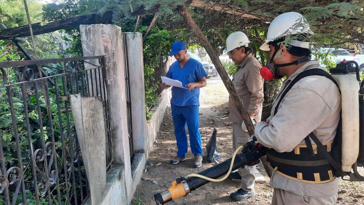 Control de Vectores: de qué se trata y por qué es importante