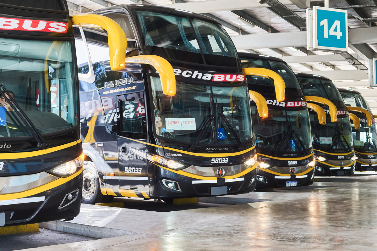 Flecha Bus agranda la flota: ¿Querés saber más?