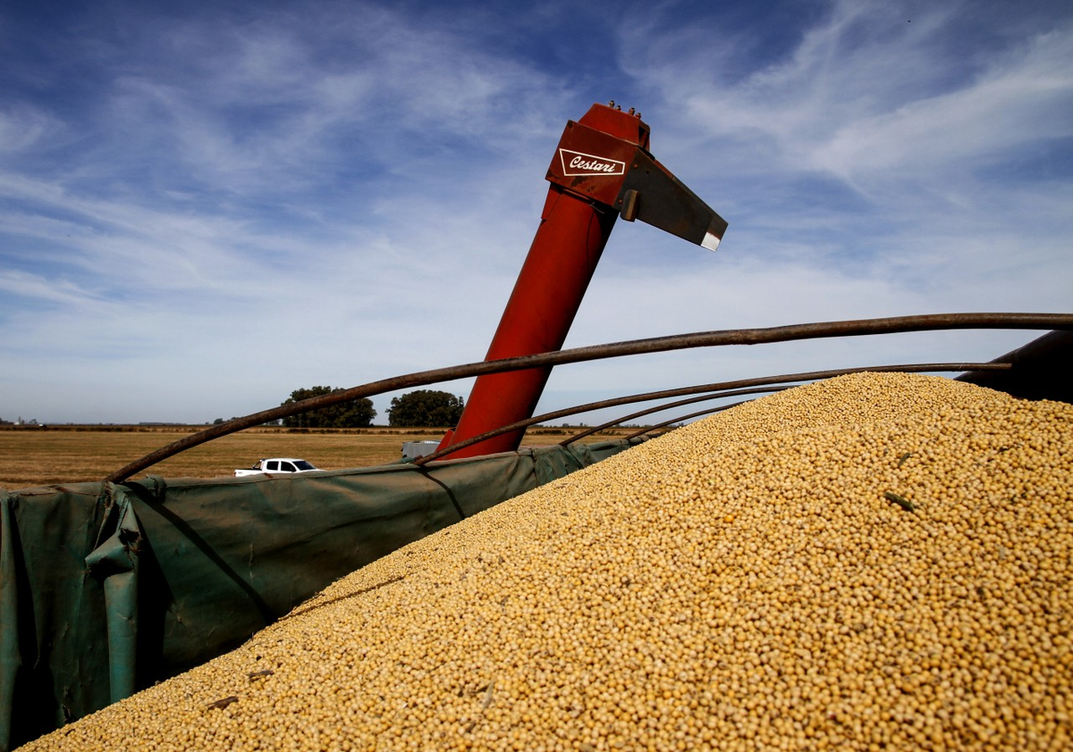 No es un cambio impositivo que afecta al productor primario