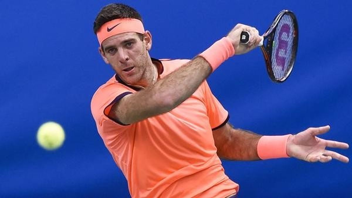 Del Potro volvió a ganar un título después de más de dos años