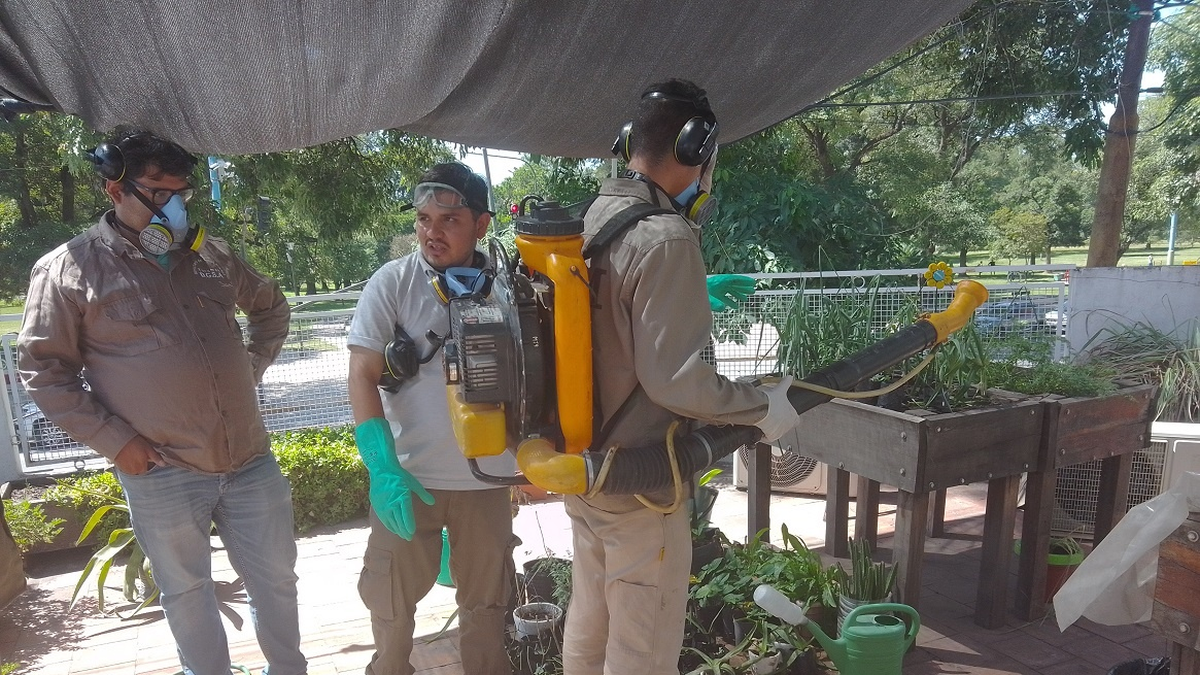 Continúa la lucha contra el dengue en la provincia
