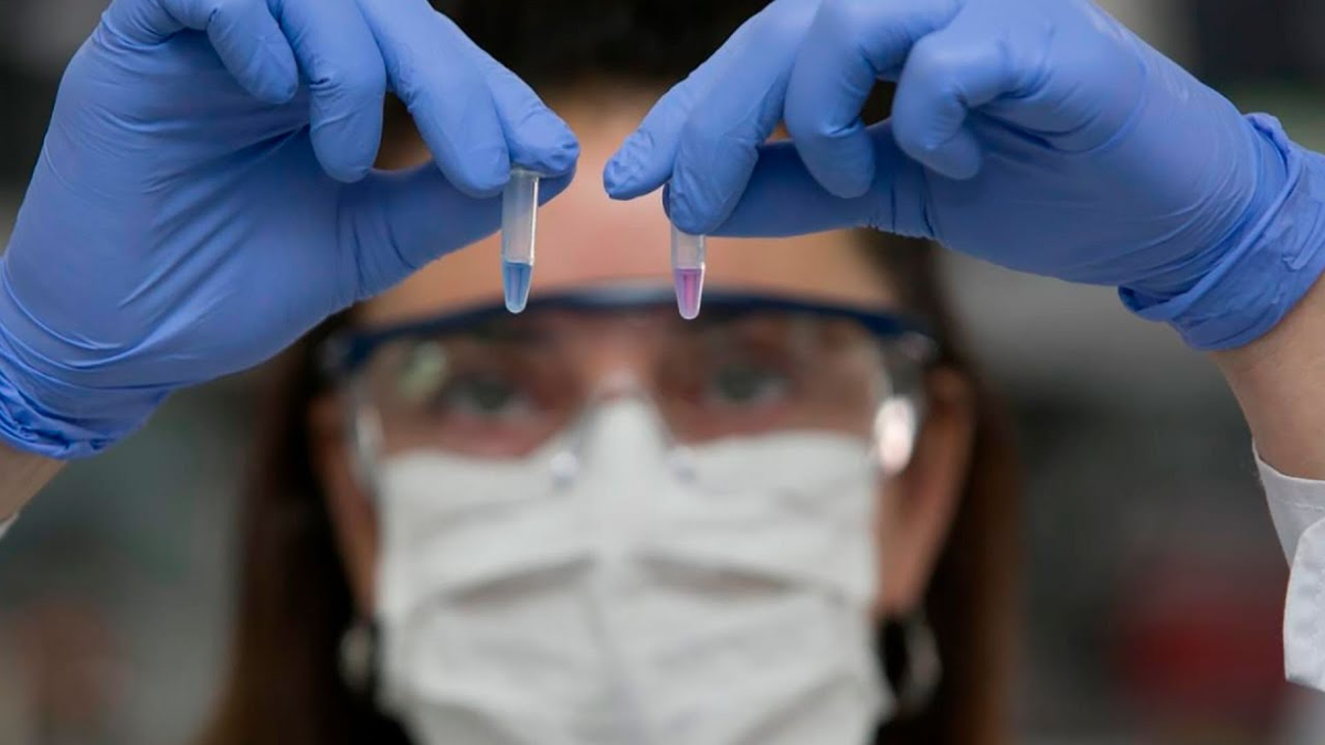 Científicos argentinos, destacados por una prestigiosa revista