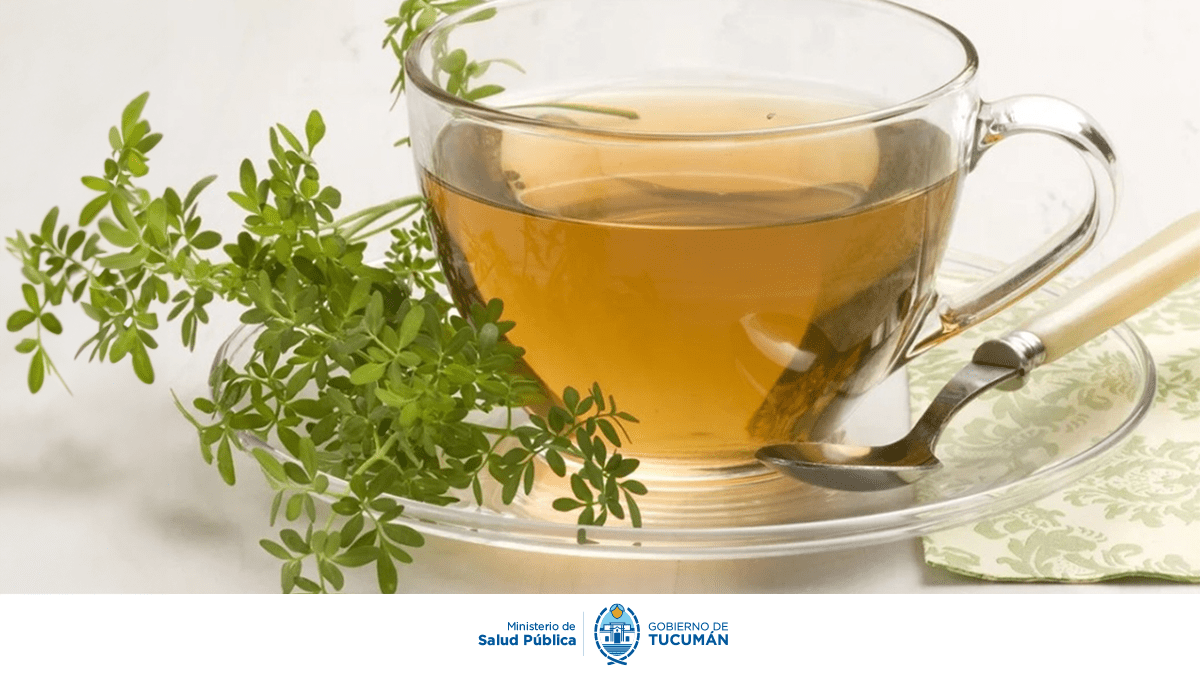 Té de Ruda: Recomendaciones y precauciones