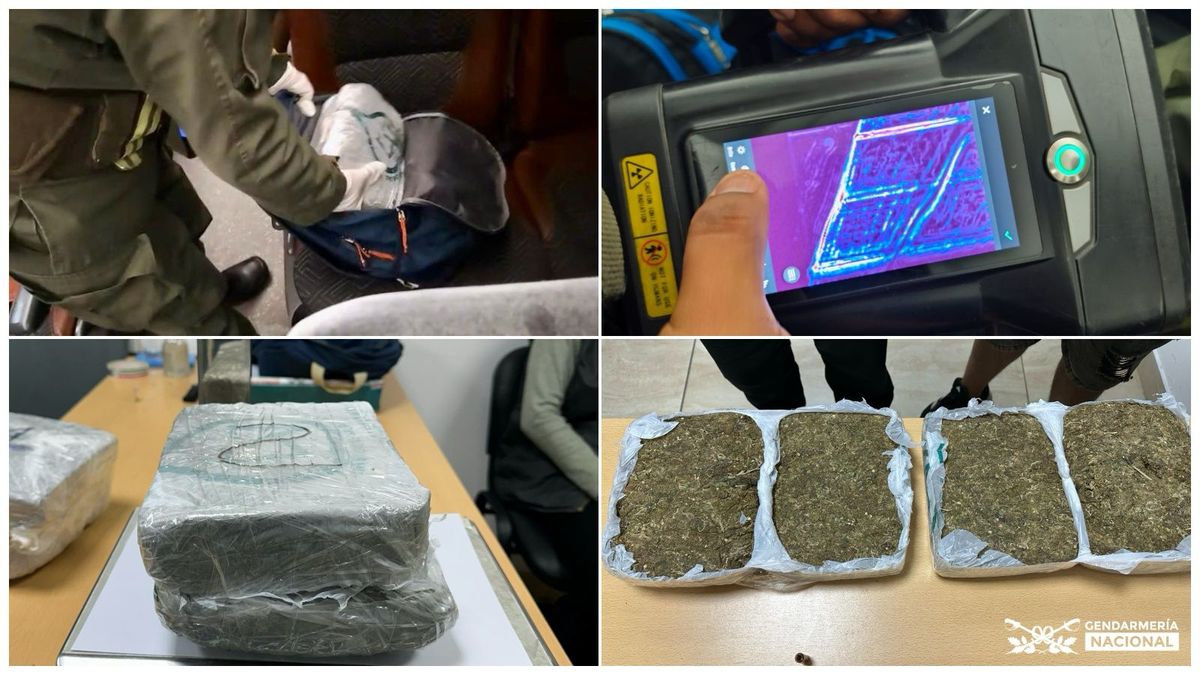 Gendarmeria incautó 4 kilos de marihuana durante un control en Huacra