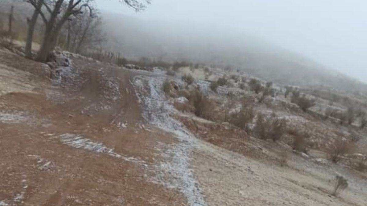 El Mollar: El garrotillo congela todo