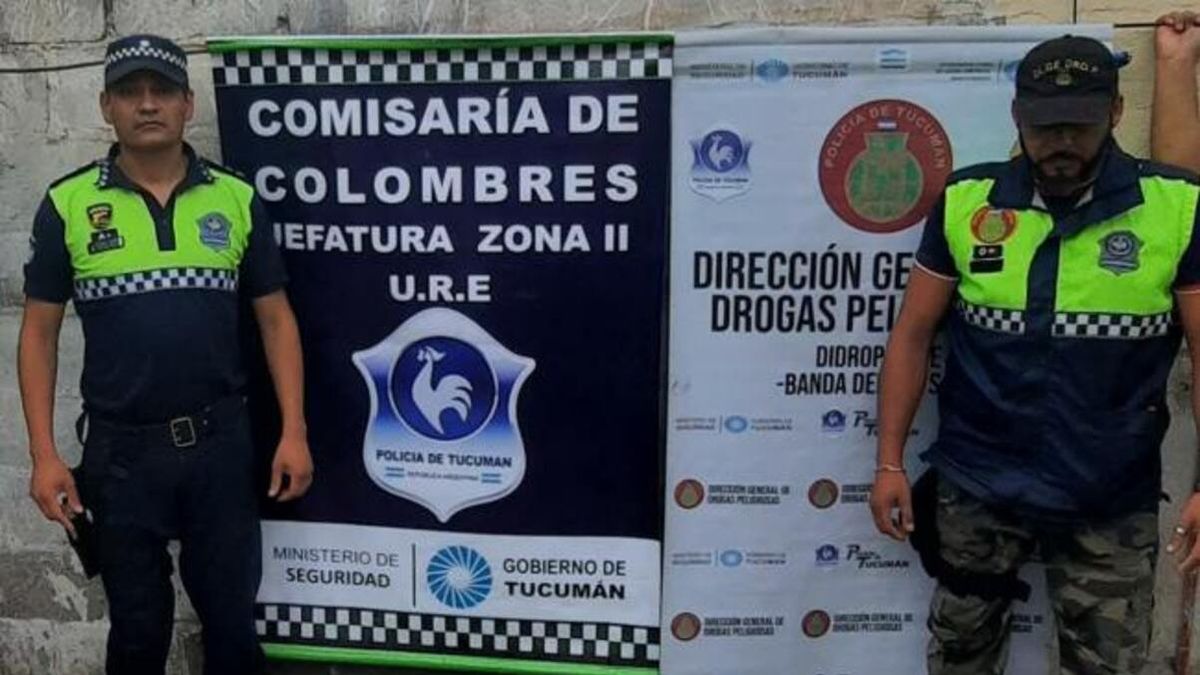 Secuestran 18 Plantas De Marihuana En Una Casa