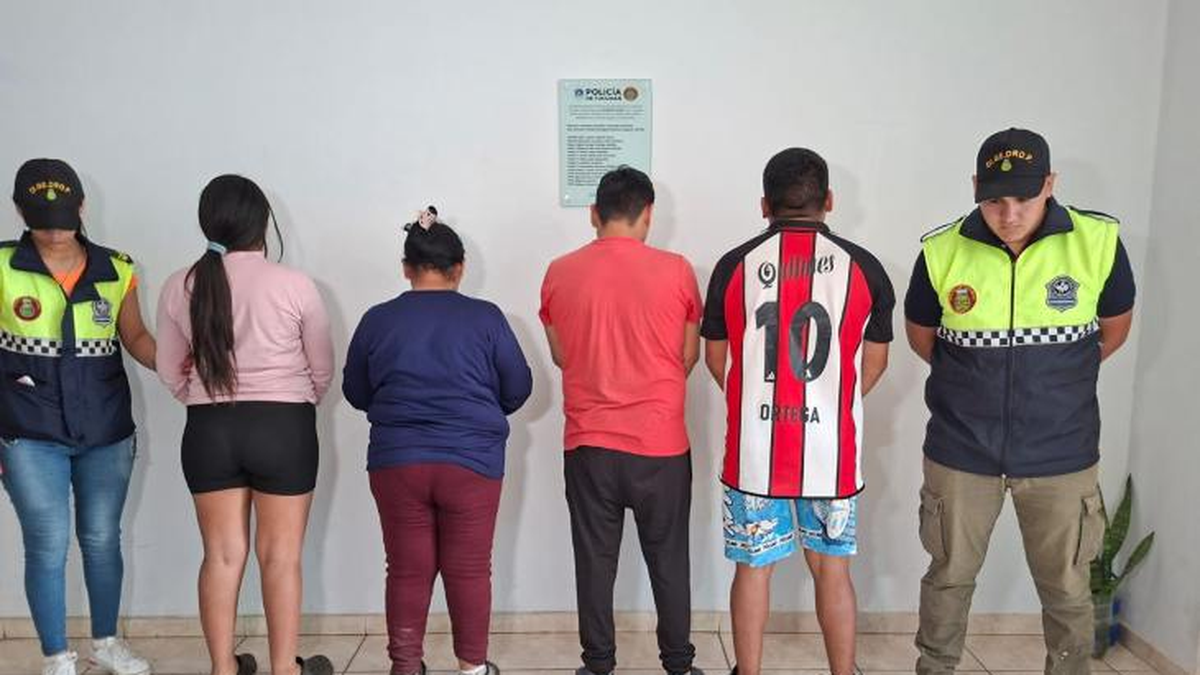 Lules: la Policía secuestró más de 50 plantas de marihuana